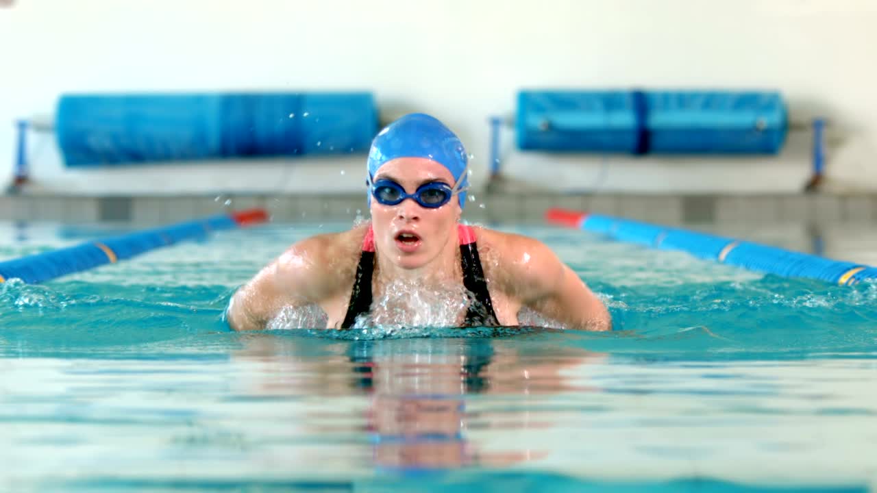 Millennium Wasps Swimming Club // Grove Vale School // Great Barr